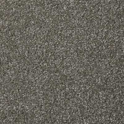 Apollo Plus Cinder Grey – ATS Carpets